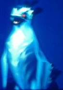 Animals/Gallery | Kya Dark Lineage | Fandom