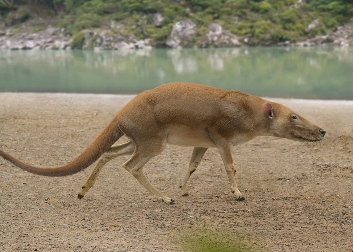 Cenozoic Animals | Kylar Wiki | Fandom