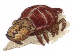 Kashyyyk | Kylar Wiki | Fandom