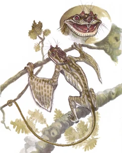 Dagobah | Kylar Wiki | Fandom