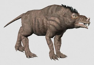 Kashyyyk | Kylar Wiki | Fandom