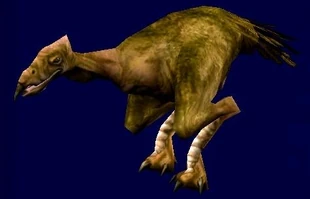 Kashyyyk | Kylar Wiki | Fandom