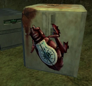 Kashyyyk | Kylar Wiki | Fandom