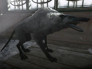 Dishonored Animals | Kylar Wiki | Fandom
