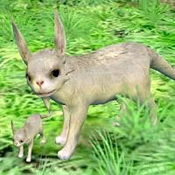 Endor (Forest Moon) | Kylar Wiki | Fandom