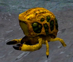 Kashyyyk | Kylar Wiki | Fandom