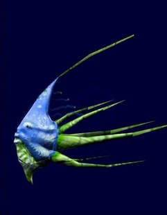 Endor (Forest Moon) | Kylar Wiki | Fandom