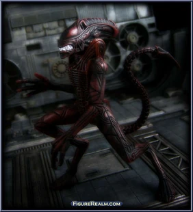 Xenomorph | Kylar Wiki | Fandom