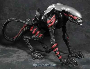 Xenomorph | Kylar Wiki | Fandom