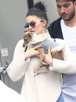 What Breed Is Kylie Jenners Dog Penny