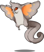 Skwerl | Kymera Keeper Wiki | Fandom