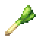 Leek | Kynseed Wiki | Fandom
