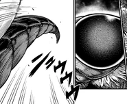 Category:Images of giant Botfly | The Island of Giant Insects Wiki | Fandom