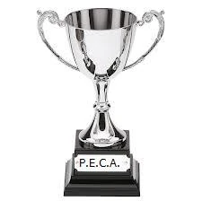 Pizza Eating Champion Award | Kyyle's World Wiki | Fandom