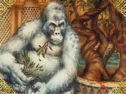 Gorilla/Meta | L5r: Legend of the Five Rings Wiki | Fandom