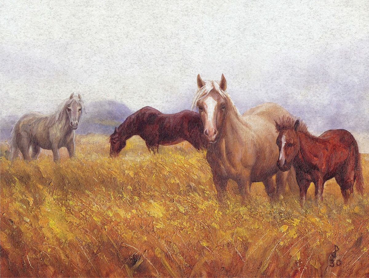 Utaku Meadows L5r Legend Of The Five Rings Wiki Fandom