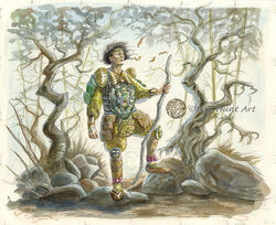 Tortoise Shell Armor | L5r: Legend of the Five Rings Wiki | Fandom