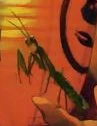Mantises | L5r: Legend of the Five Rings Wiki | Fandom