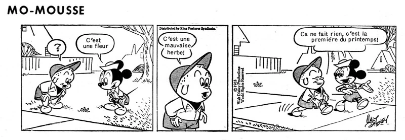 Mo-Mousse - Bandes Quotidiennes | Wikia La BD de Journal au Québec | Fandom