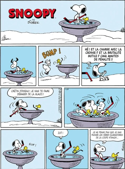 Peanuts - Le Nouvelliste | Wikia La BD de Journal au Québec | Fandom