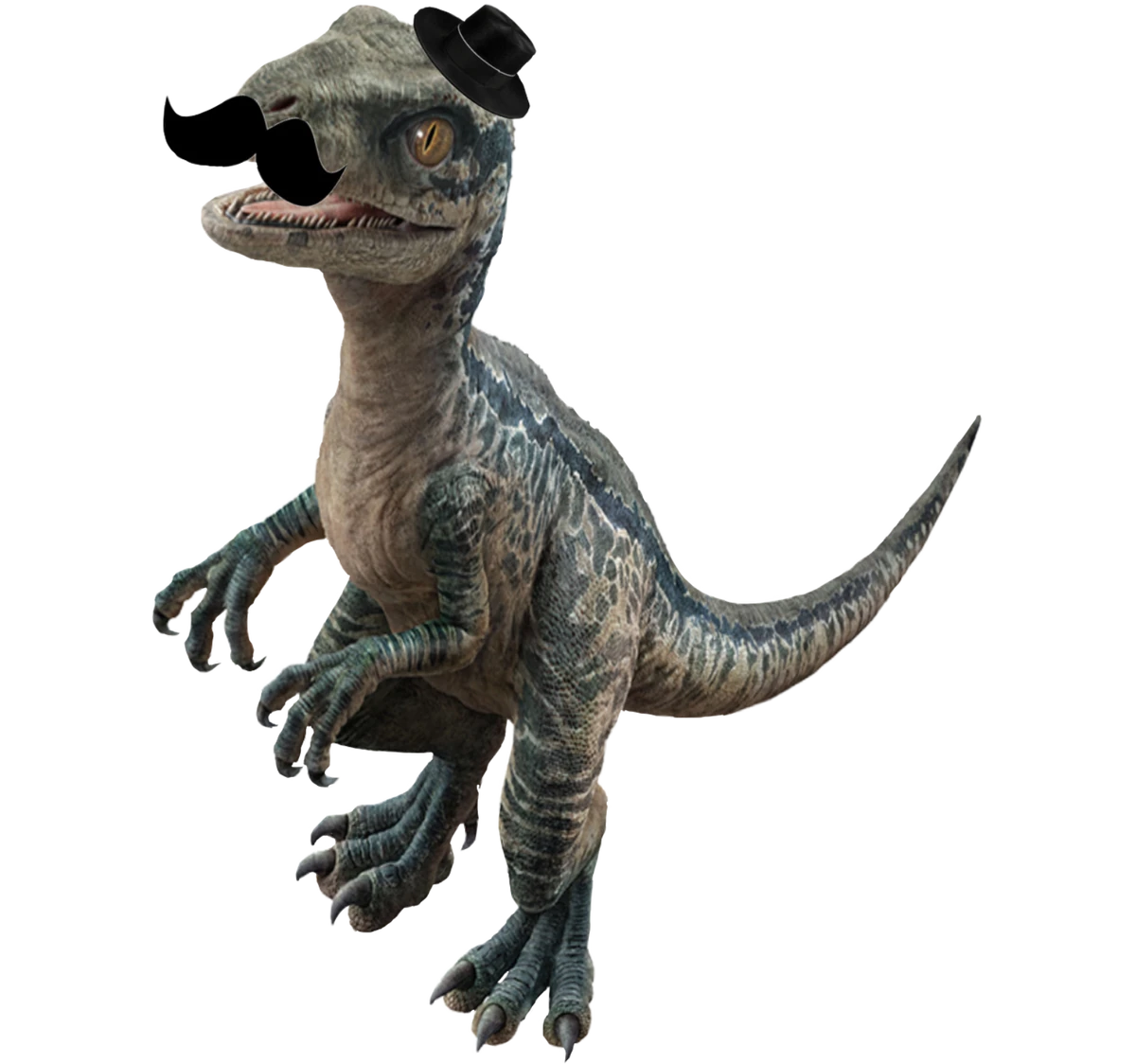 Max! | Wiki La Caverna | Fandom