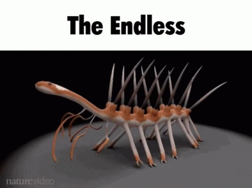 The Endless | Wiki La Caverna | Fandom