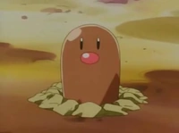 Diglett | La gilda di wigglytuff(serie a puntate) Wiki | Fandom