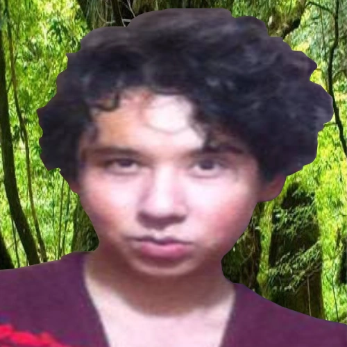 Carlos Bravo | Wikia La Isla de RV | Fandom