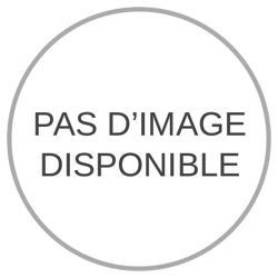 Tashalar | Wiki La Main de Dieu | Fandom