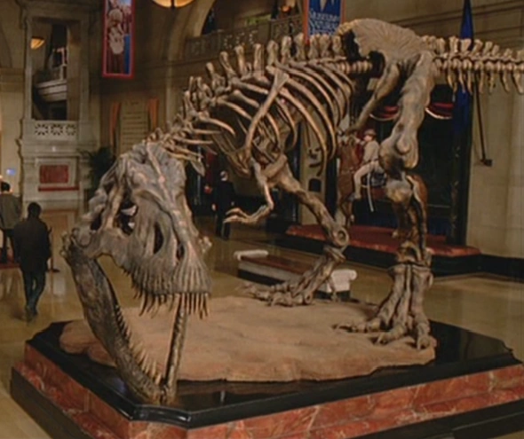 T-Rex | Wiki La Nuit au musée | Fandom