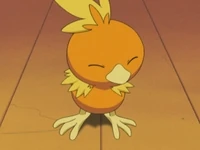 Kyle (Pokémon Illusions) | Wiki La Wiki Pokéland | Fandom