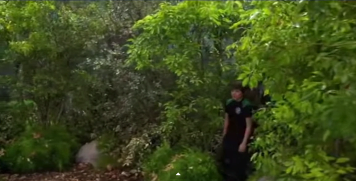 Left Behind | Lab Rats: Bionic ??? Wiki | Fandom