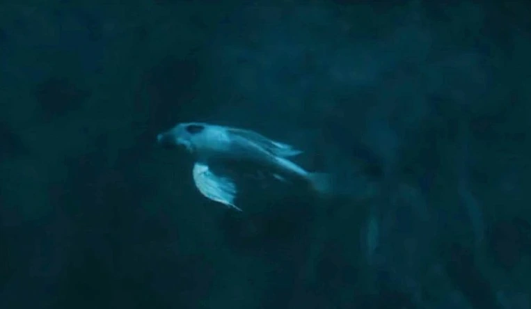 Tui (Netflix) | Lab Rats Chronicles Wiki | Fandom