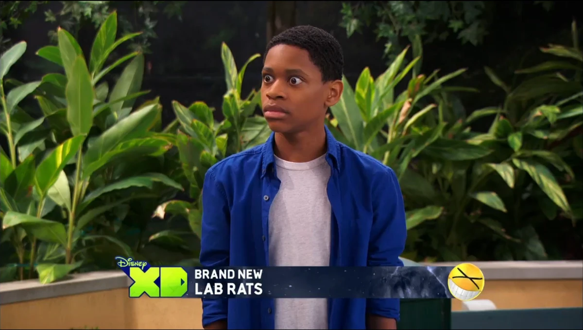 Which Father Knows Best?/Gallery | Disney XD's Lab Rats Wiki | Fandom
