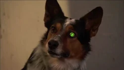 Bionic Eye | Disney XD's Lab Rats Wiki | Fandom