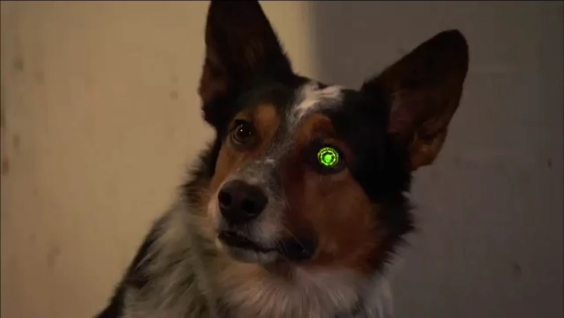 Bionic Dog | Disney XD's Lab Rats Wiki | Fandom