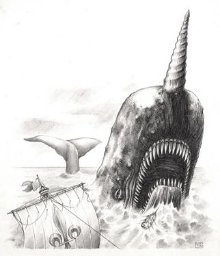 Behemot | Wiki La Biblioteca del Viejo Mundo | Fandom