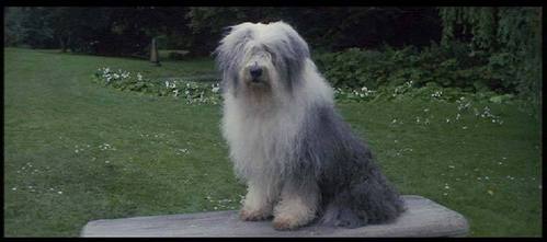 Merlin | Labyrinth Wiki | Fandom