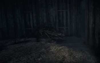 Swamp dog | Labyrinthine Wiki | Fandom