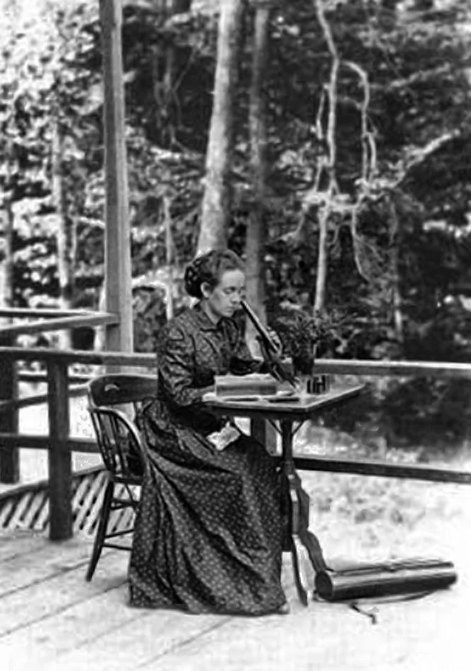 Elizabeth Britton (1858 - 1934) | Ladies of Science Wiki | Fandom