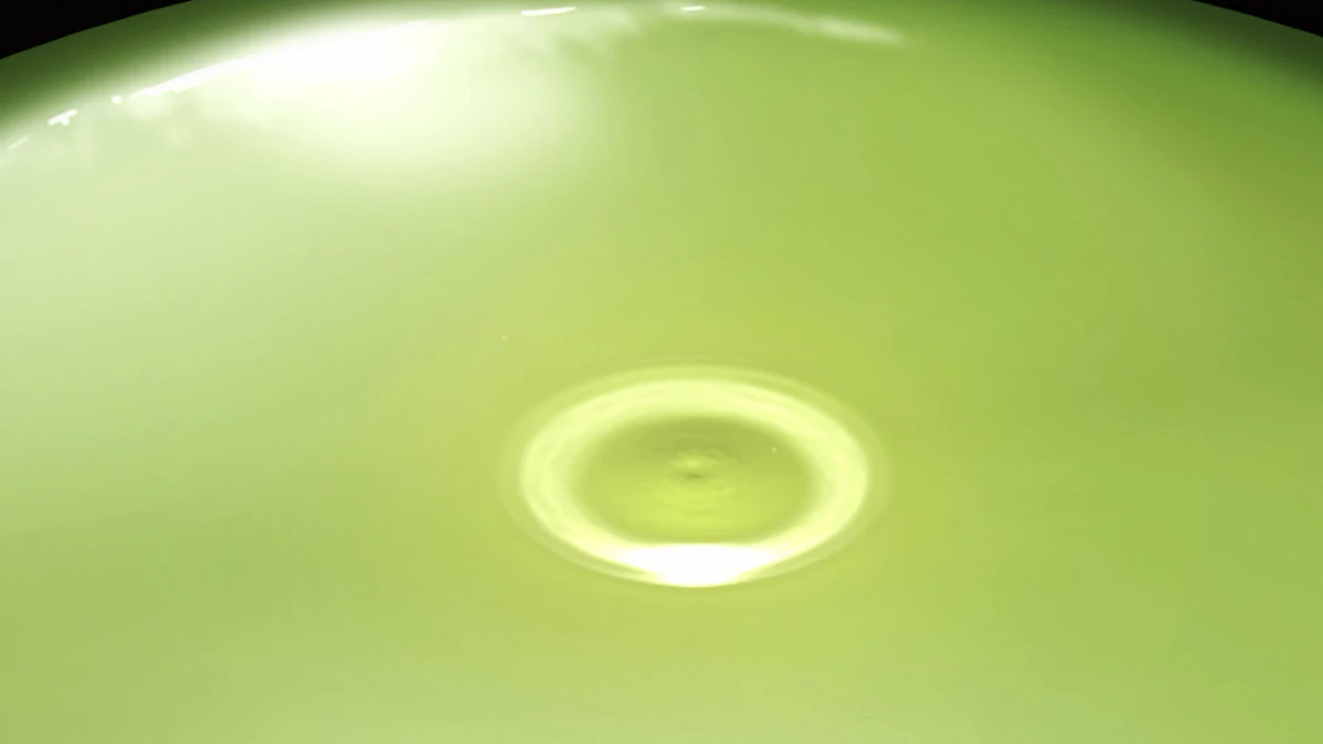 Miraculous potions/Gallery | Miraculous Ladybug Wiki | Fandom