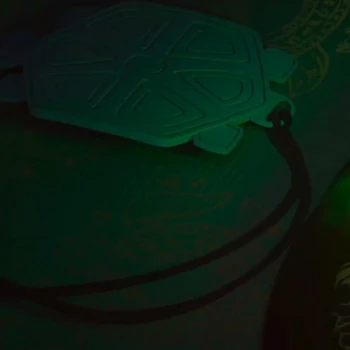 Turtle Miraculous | Miraculous Ladybug Wiki | Fandom