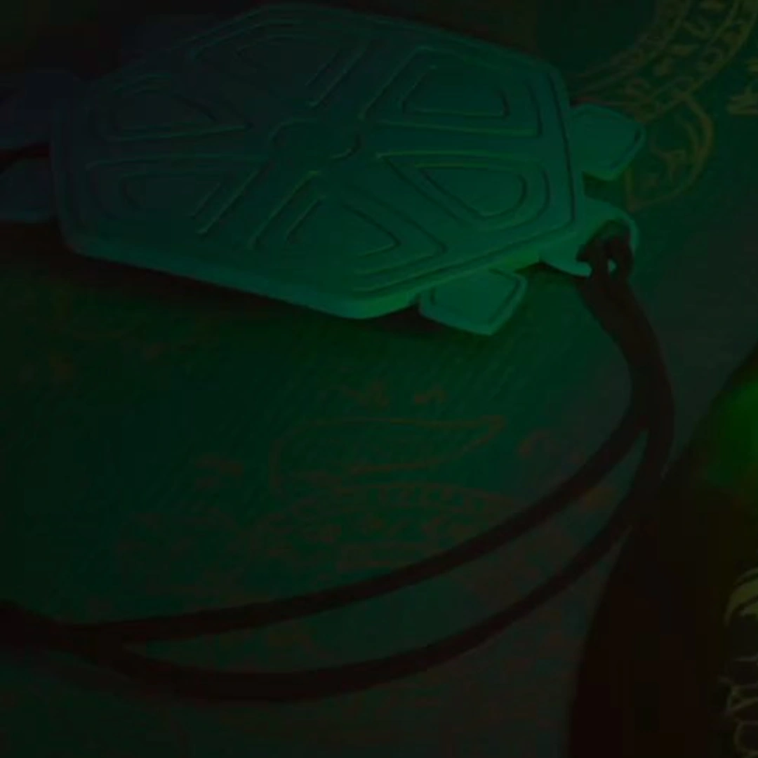 Turtle Miraculous | Miraculous Ladybug Wiki | Fandom