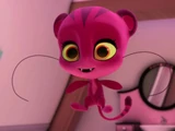 Category:Kwamis | Miraculous Ladybug Wiki | Fandom