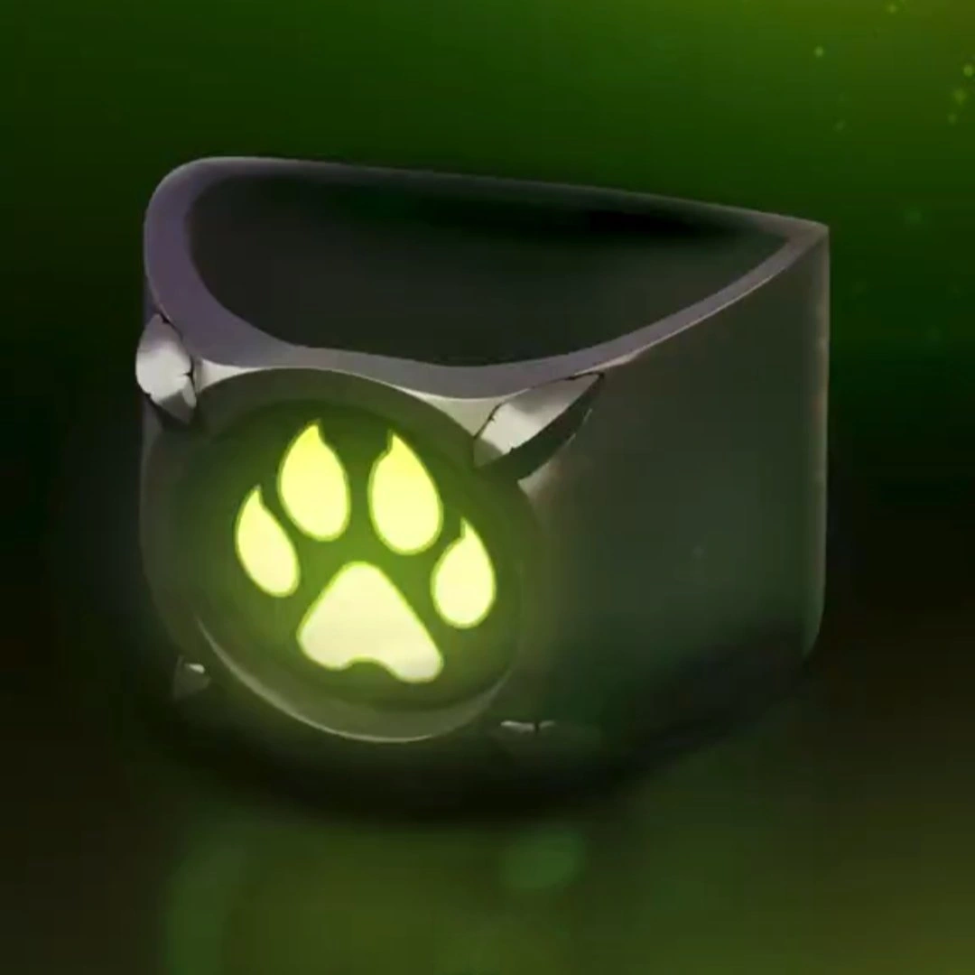 Cat Miraculous | Miraculous Ladybug Wiki | Fandom