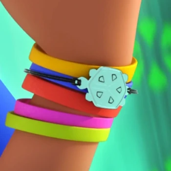 Turtle Miraculous | Miraculous Ladybug Wiki | Fandom