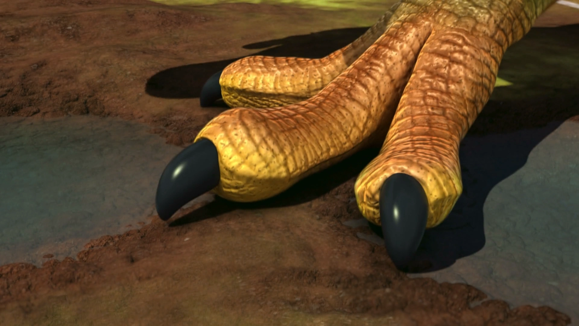 Rocketear/Gallery | Miraculous Ladybug Wiki | Fandom