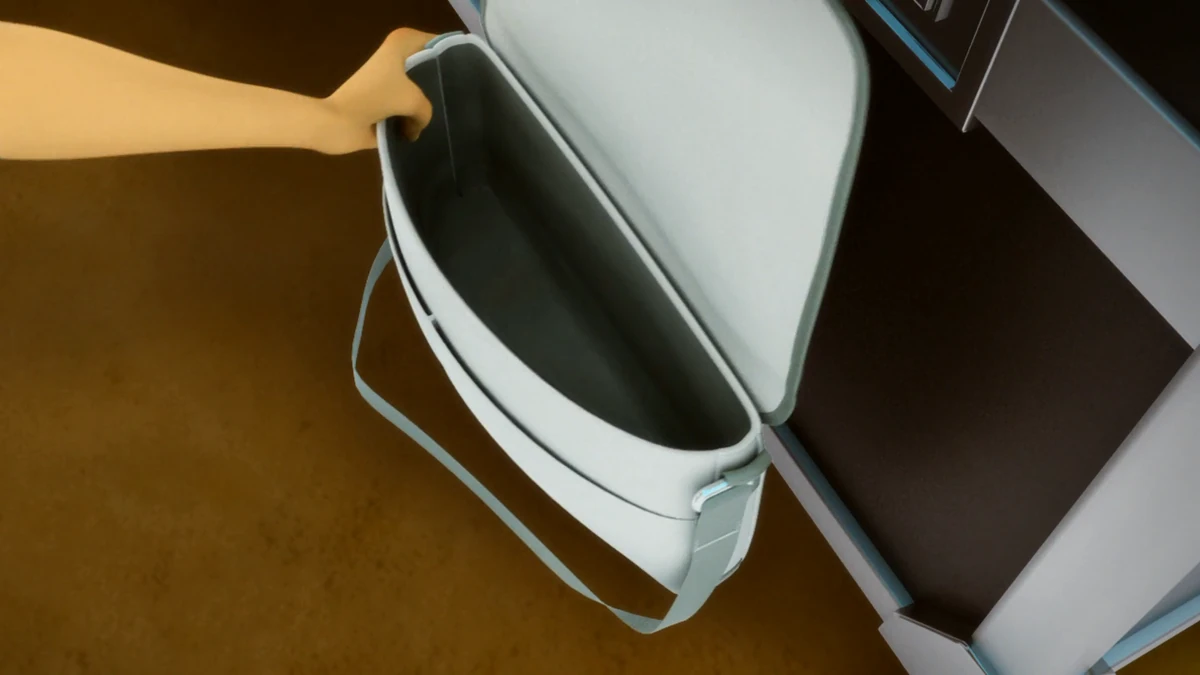 Adrien's bags/Gallery/Season 1 | Miraculous Ladybug Wiki | Fandom