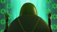 Turtle Miraculous/Gallery/Miscellaneous | Miraculous Ladybug Wiki | Fandom