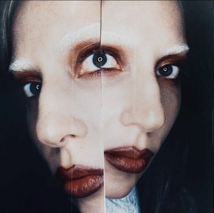 Can't Stop the High | Lady Gaga Wiki | Fandom